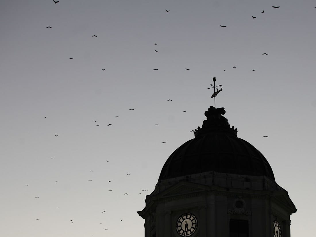 Beacon Benchmark: Crows make for terrible poetry