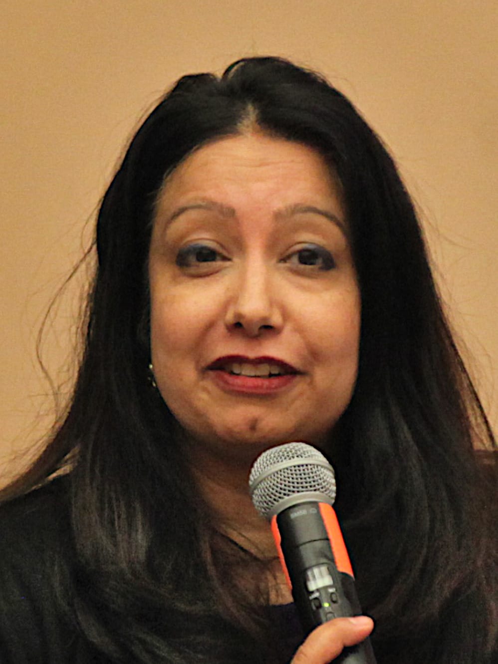 Bloomington city council District 5 Democratic Party Primary: Shruti ...