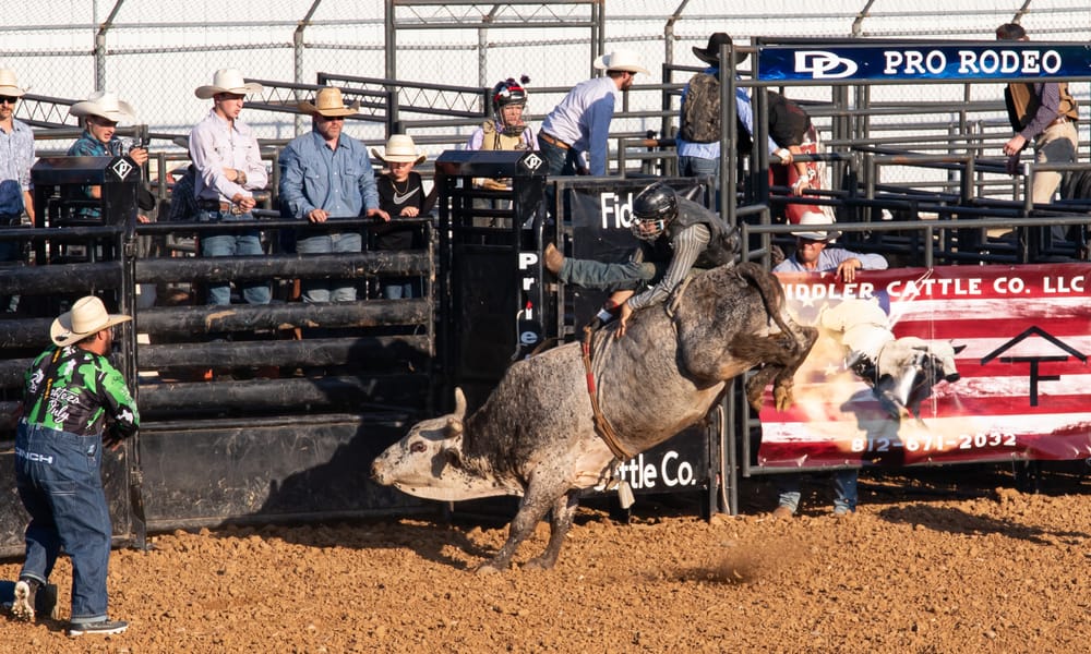 Photos: Monroe County Fair rodeo, from mutton busting to barrel racing