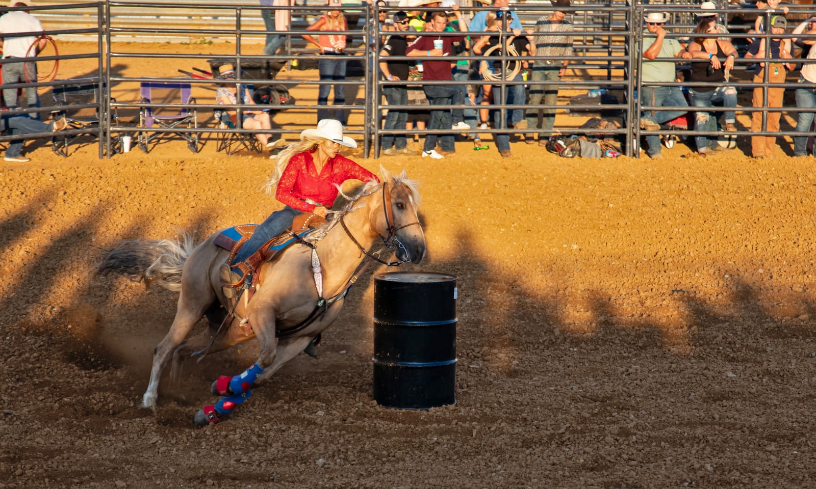 Photos: Monroe County Fair rodeo, from mutton busting to barrel racing